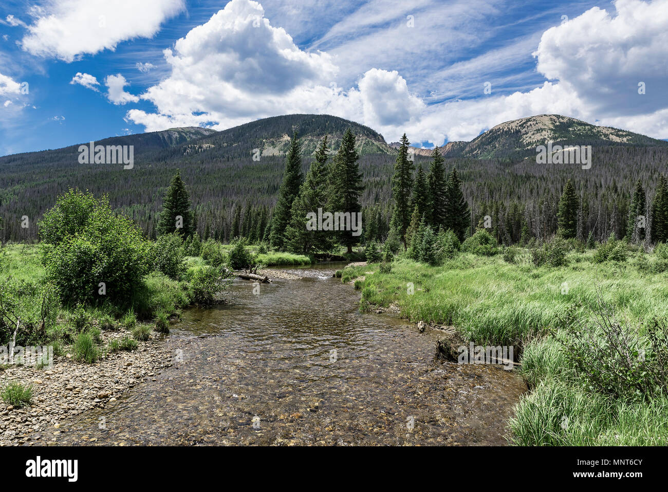 Mountain stream, Rocky Mountain National Park, Colorado, USA Stock ...