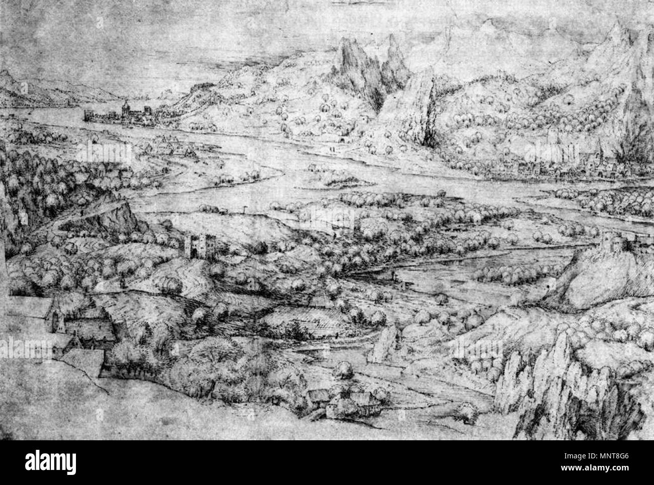 Solicitudo rustica hi-res stock photography and images - Alamy