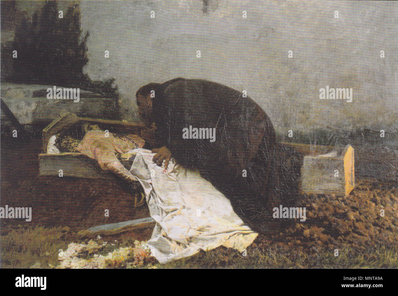 Der hass hi-res stock photography and images - Alamy