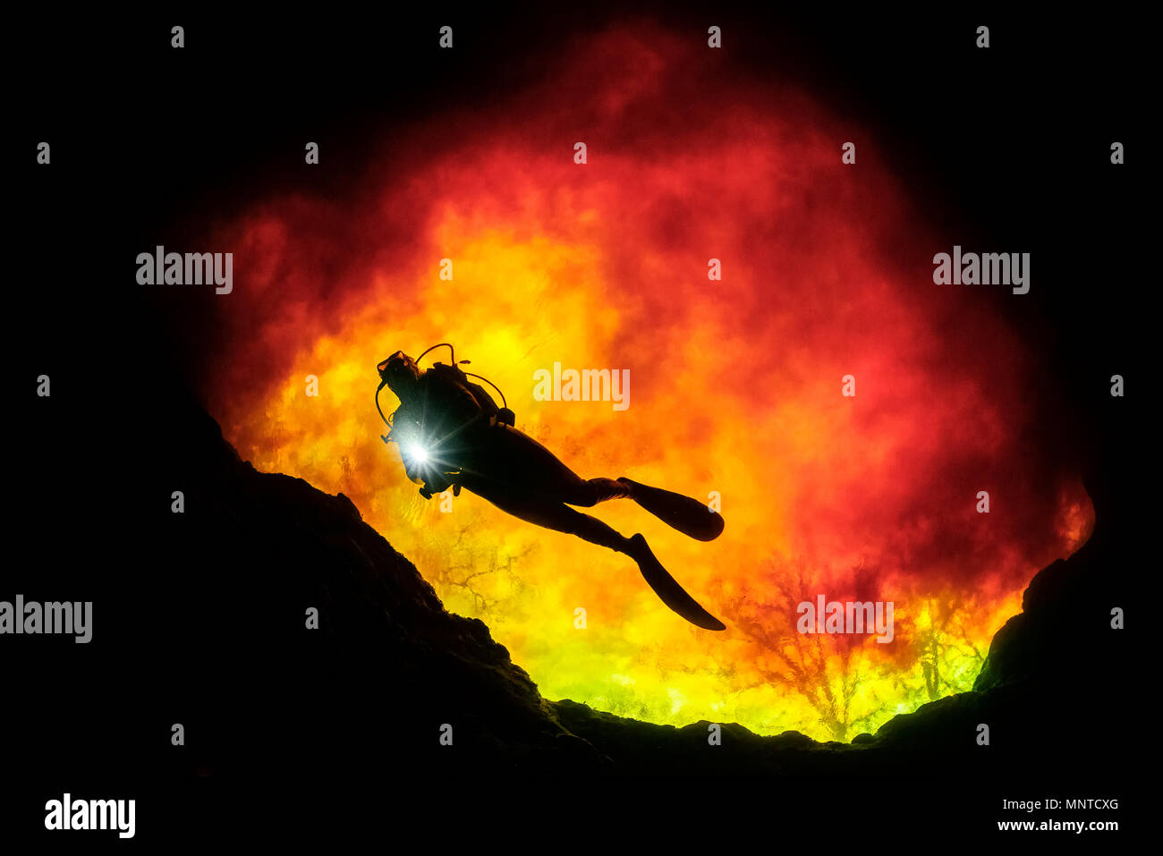 Cave diving florida hi-res stock photography and images - Alamy