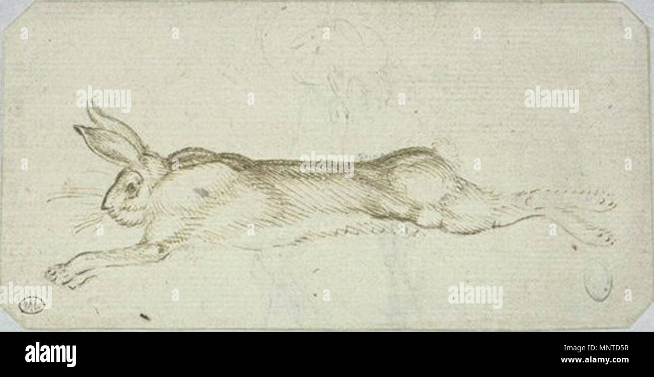 Flanc droit hi-res stock photography and images - Alamy