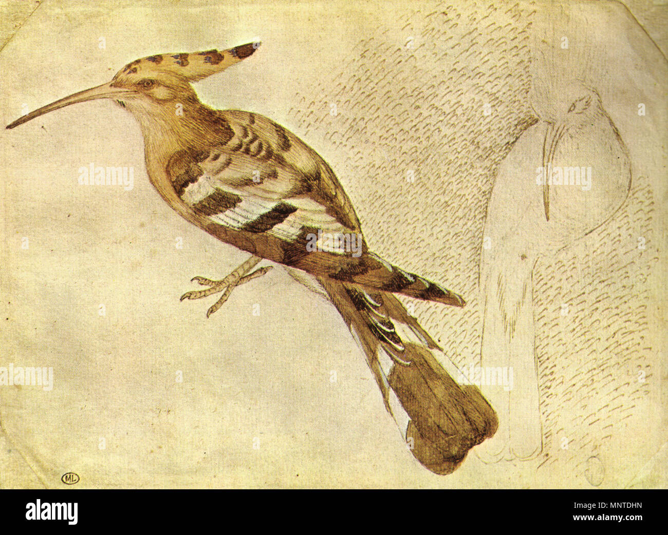 Pisanello louvre hi-res stock photography and images - Alamy