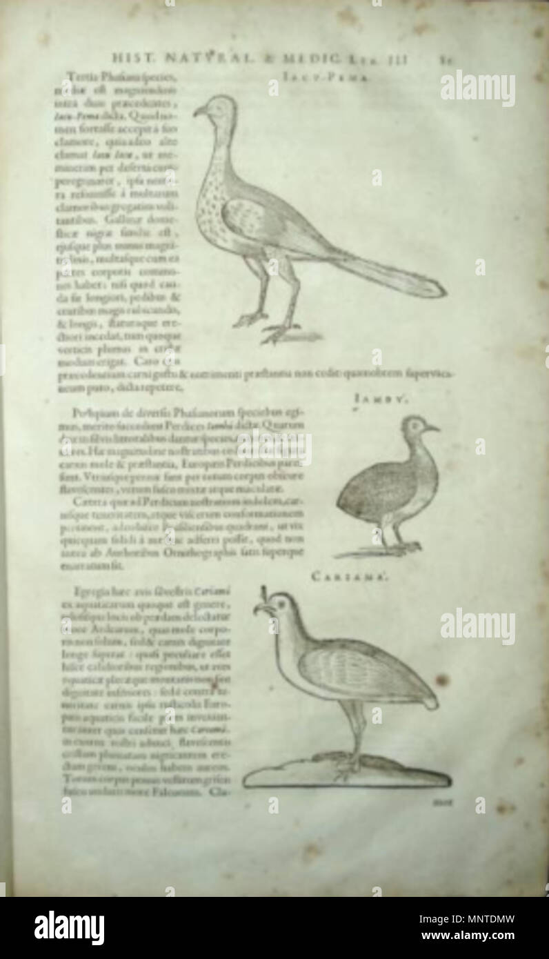 Segunda historia hi-res stock photography and images - Alamy