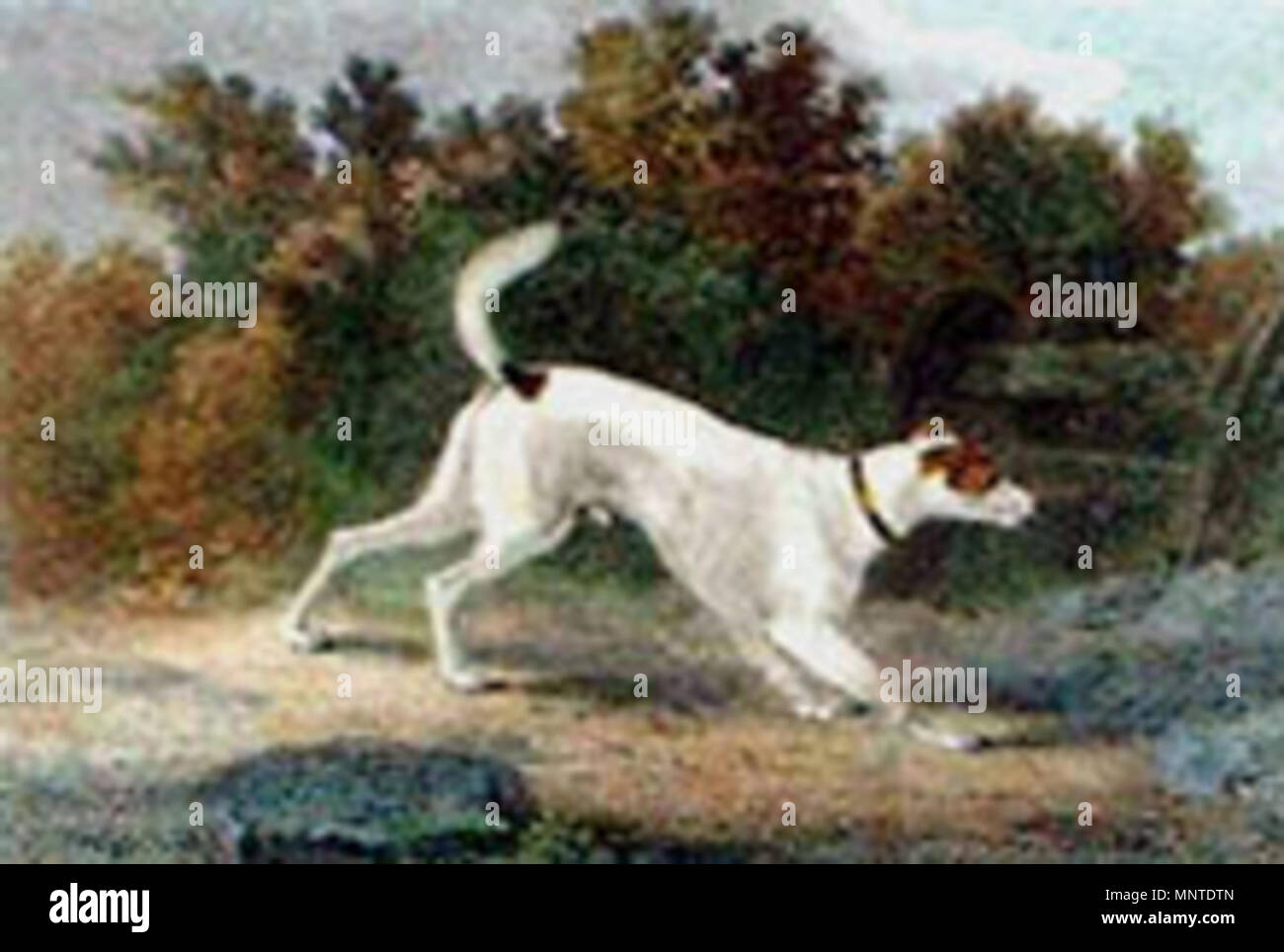 Thomas thornton hi-res stock photography and images - Alamy