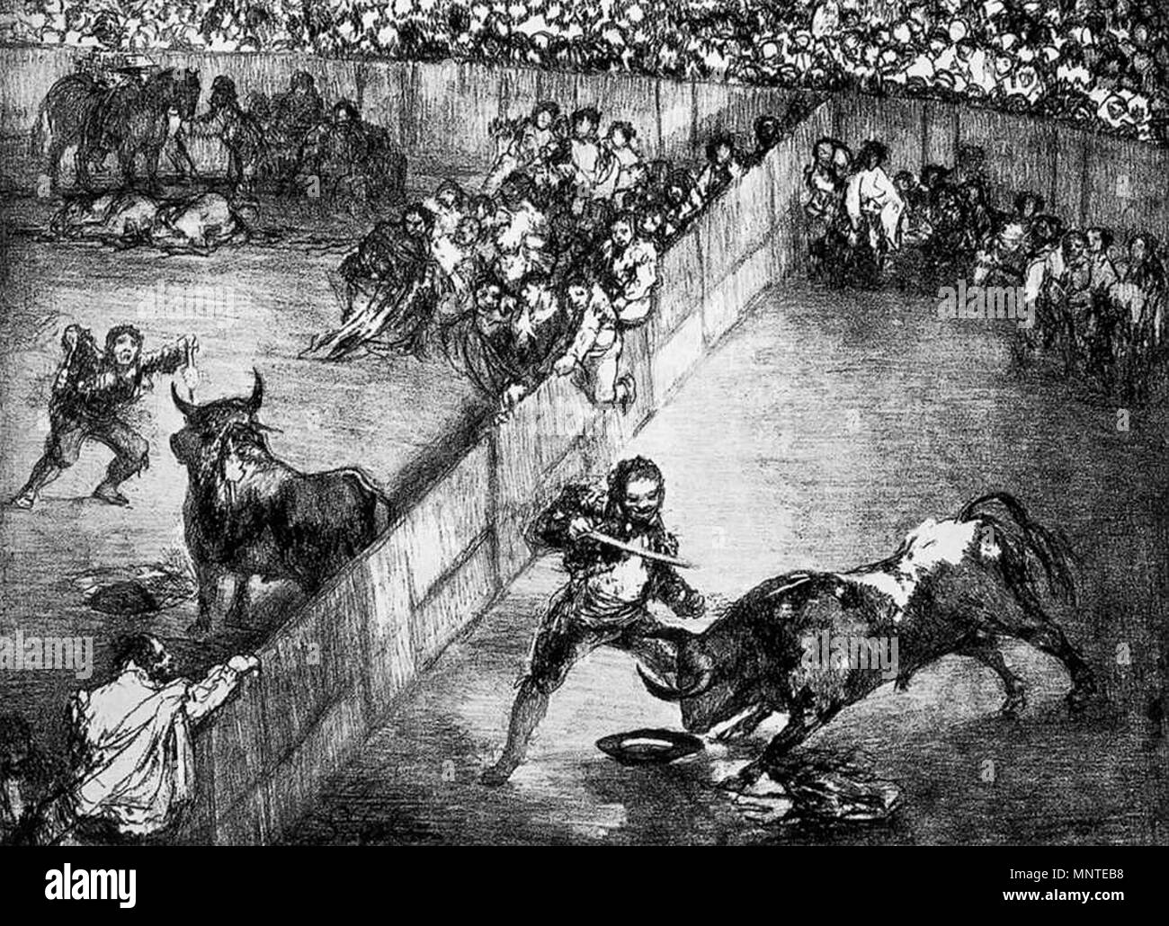 Control de toros hi-res stock photography and images - Alamy