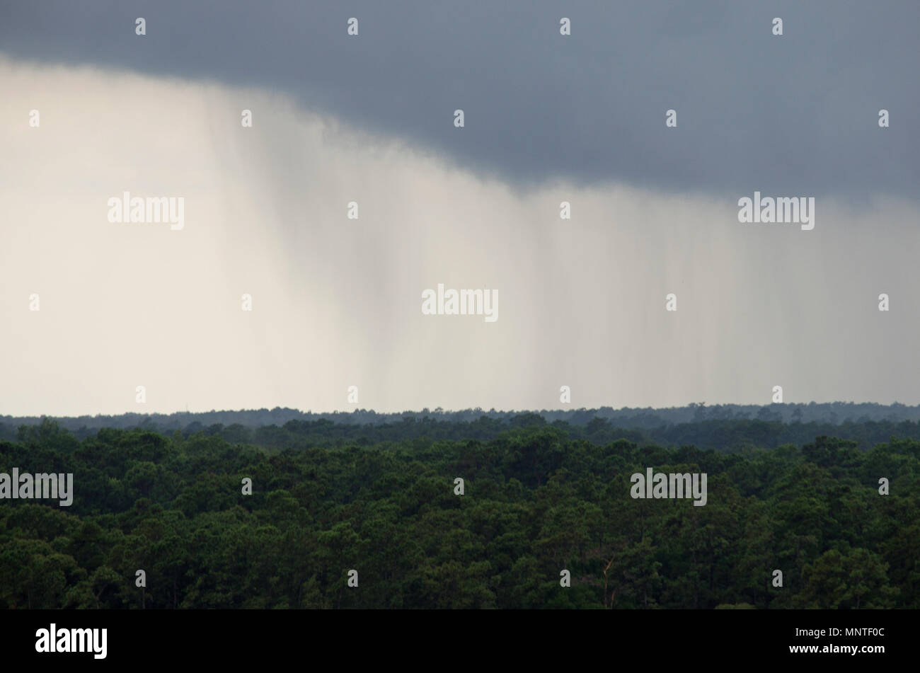 rain falling from clouds Stock Photo - Alamy