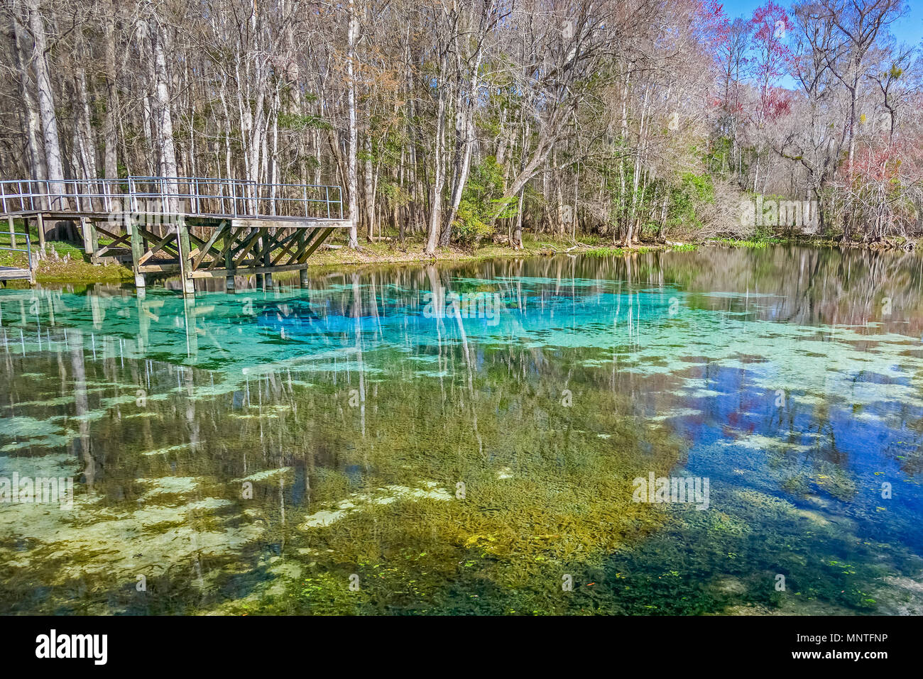 High springs florida hi-res stock photography and images - Alamy