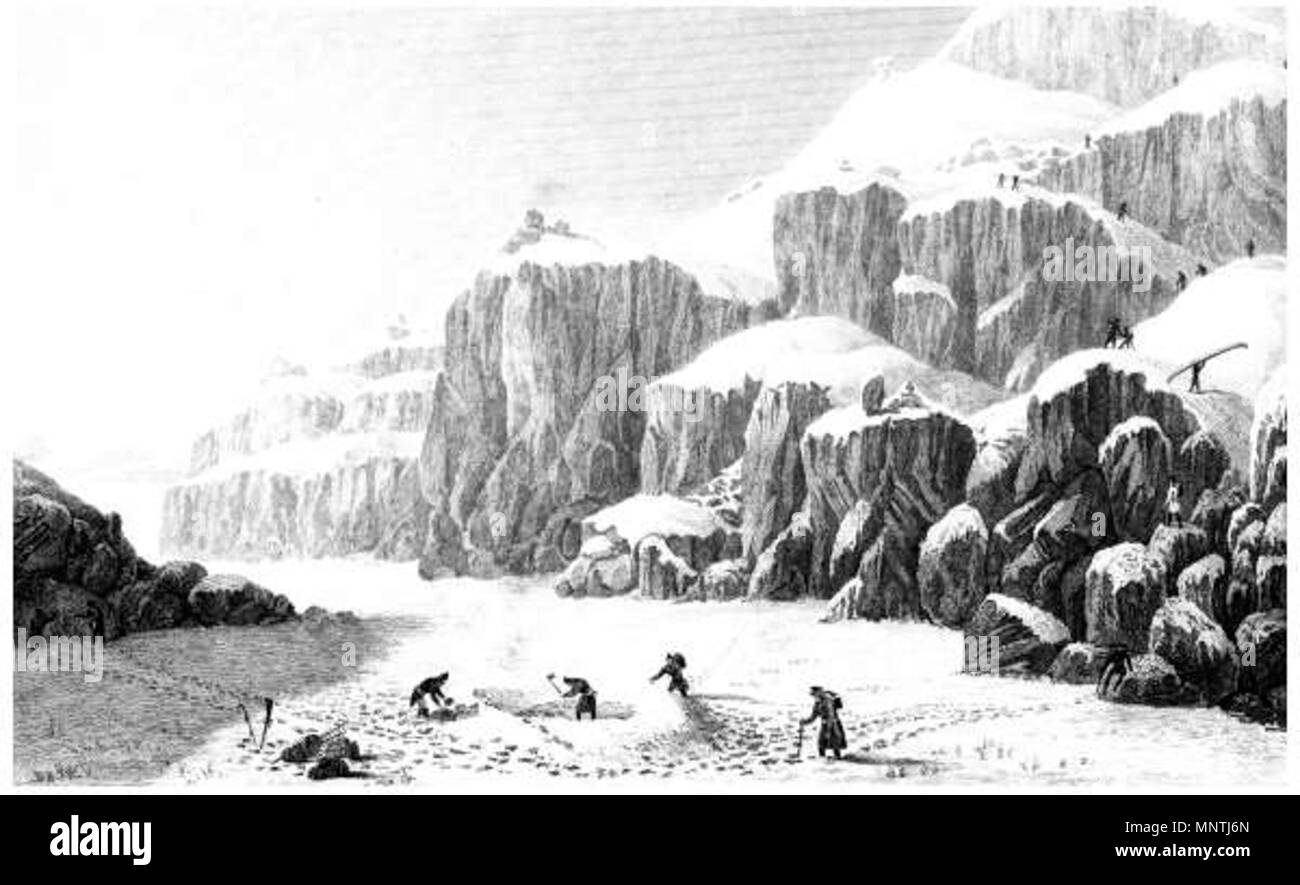 Tripe de roche Black and White Stock Photos & Images - Alamy