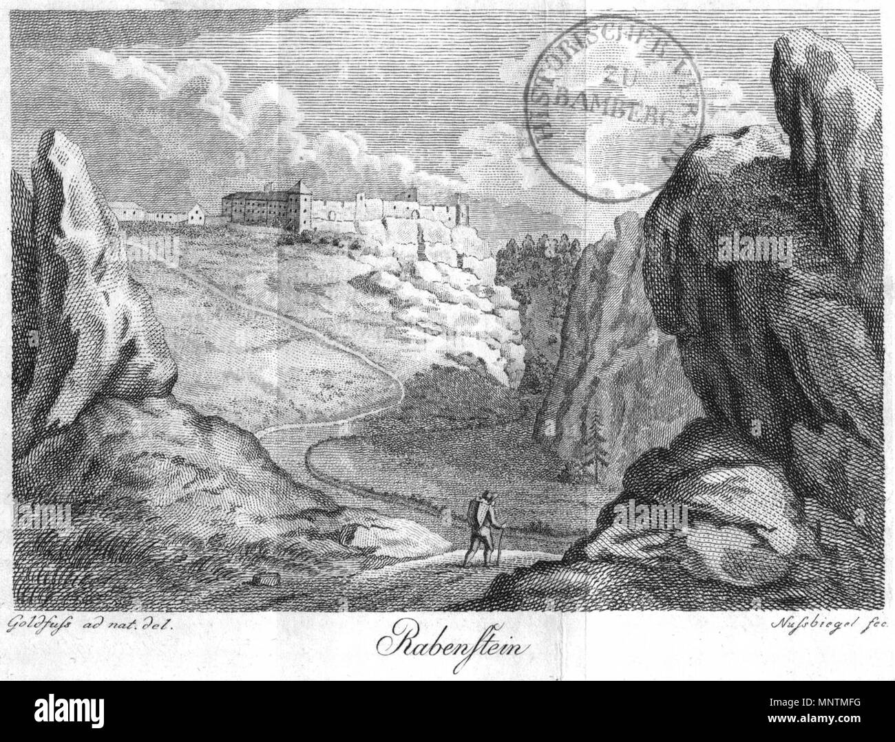 Georg august goldfuss hi-res stock photography and images - Alamy