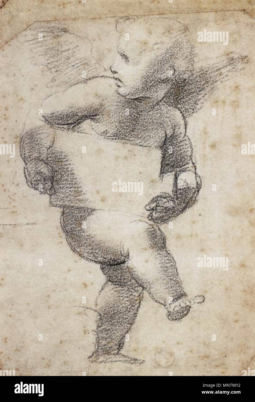 Winged Putto with Cartello circa 1510. 1038 Raffaello Sanzio - Winged ...