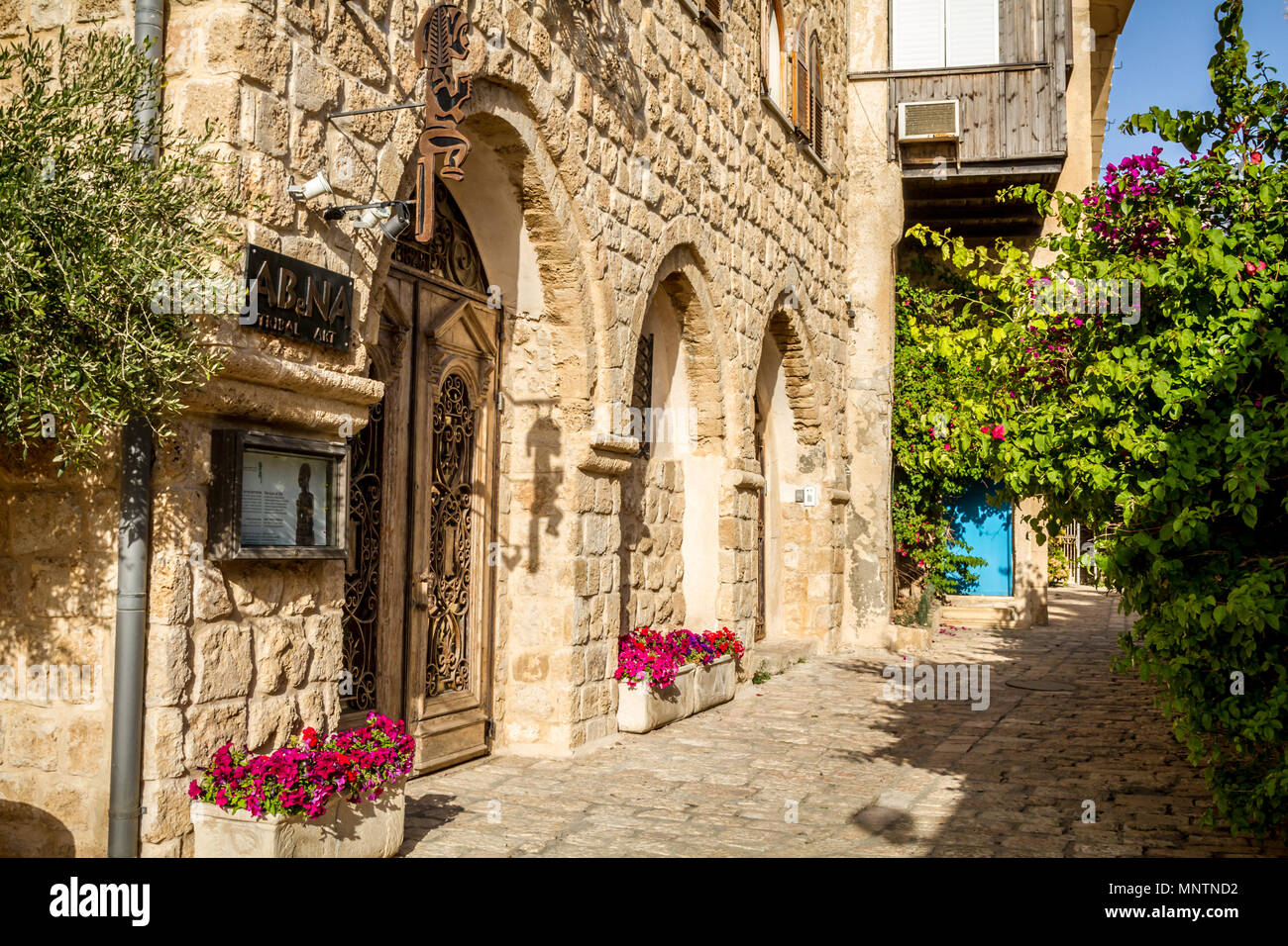 Ancient stone streets in Artists Quarter of Old Jaffa-Yaffo, Israel ...