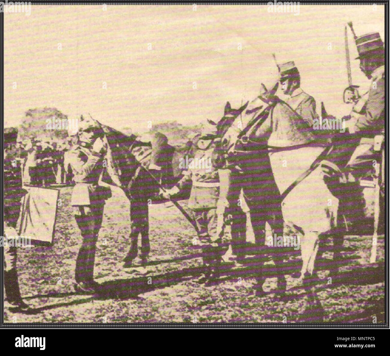 Regimiento de la corbata hi-res stock photography and images - Alamy