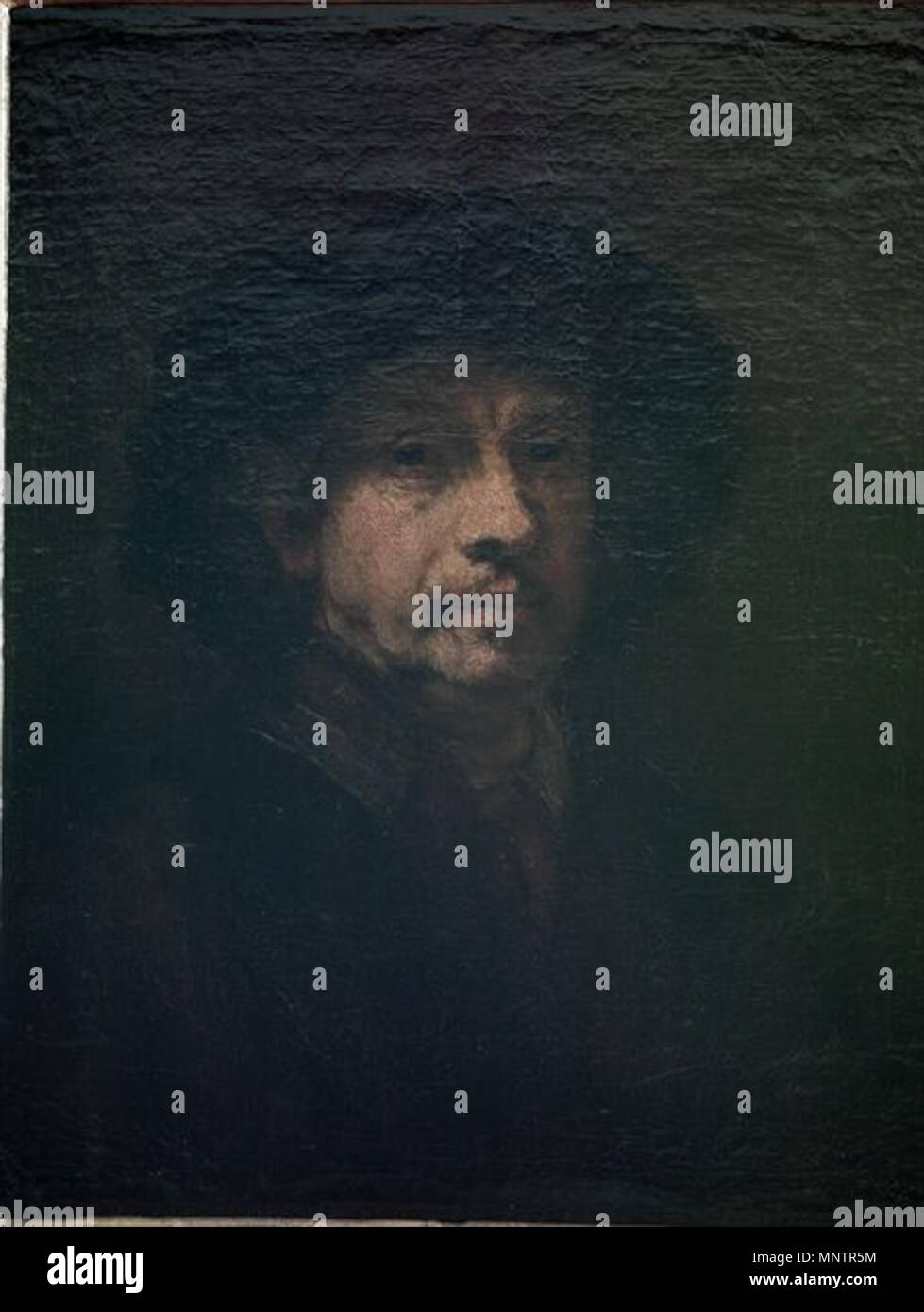 Enlarged object hi-res stock photography and images - Alamy