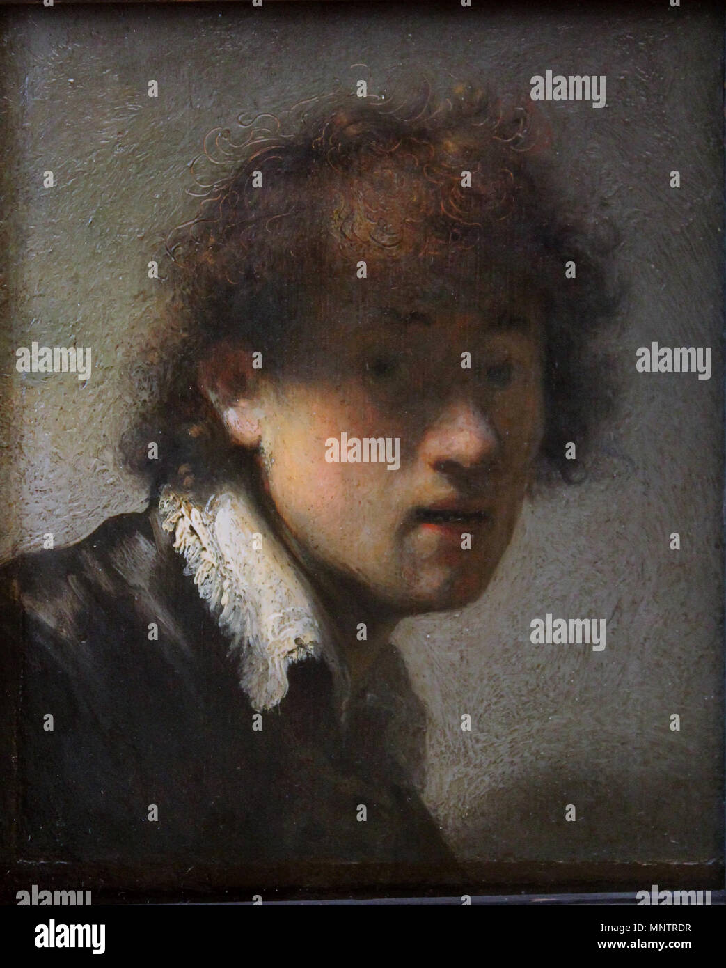 Early rembrandt hi-res stock photography and images - Alamy
