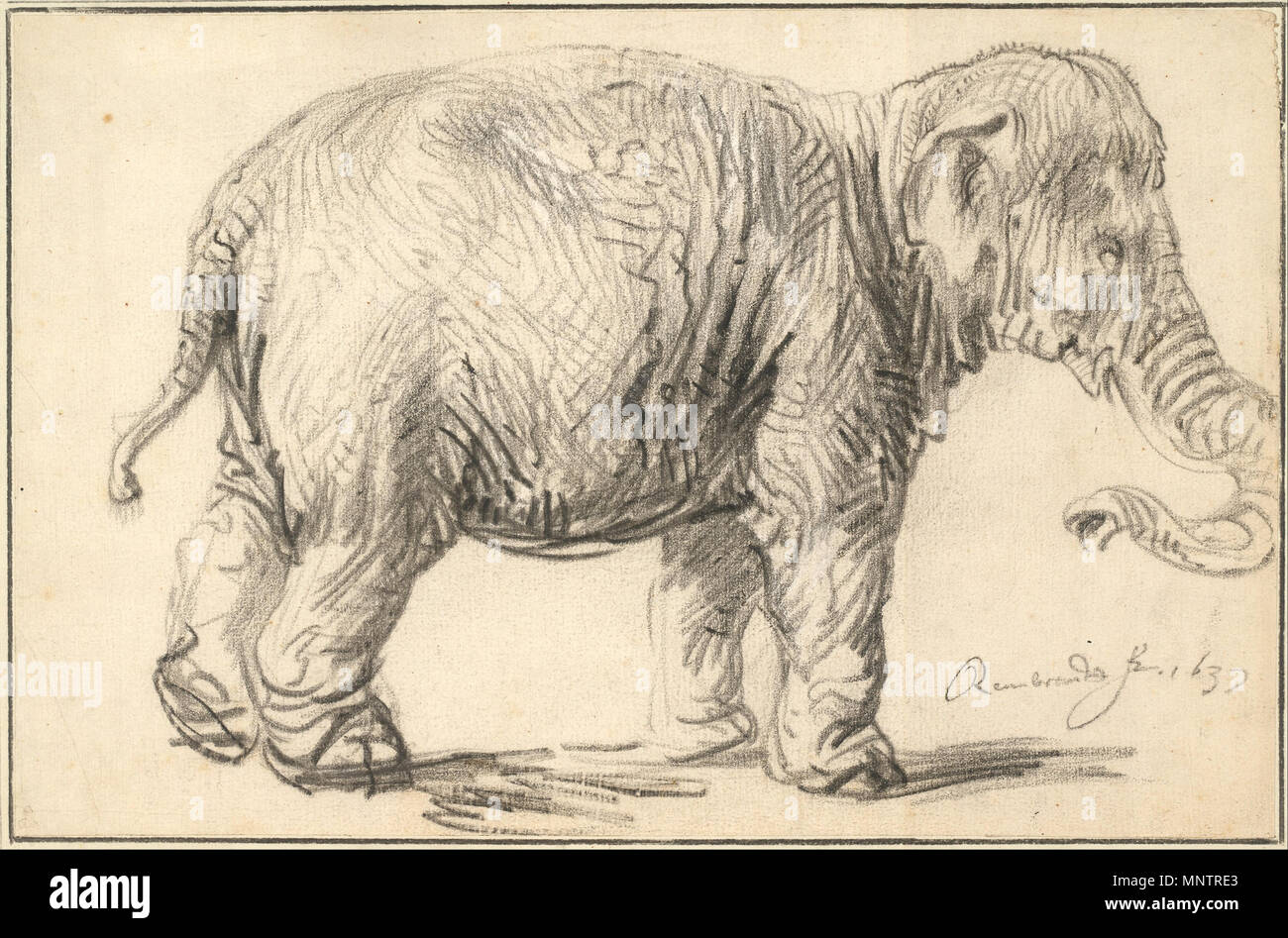 An Elephant, 1637 1637. 1051 Rembrandt Harmenszoon van Rijn - An ...