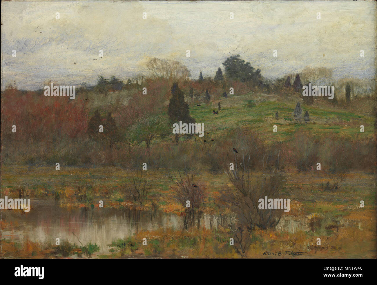 Return of the Redwing circa 1900. 1058 Return of the Redwing, Allen ...