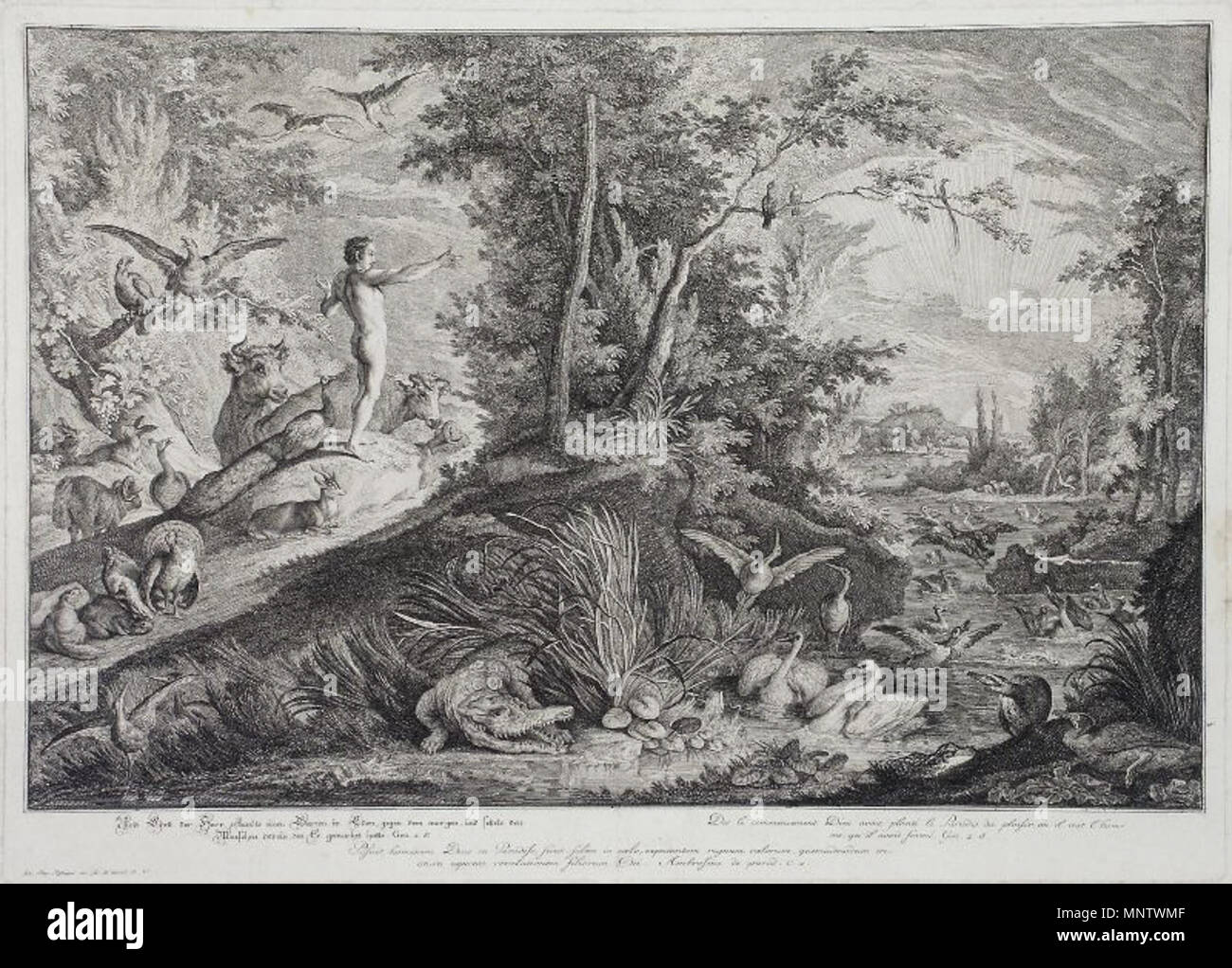 Ridinger hi-res stock photography and images - Alamy