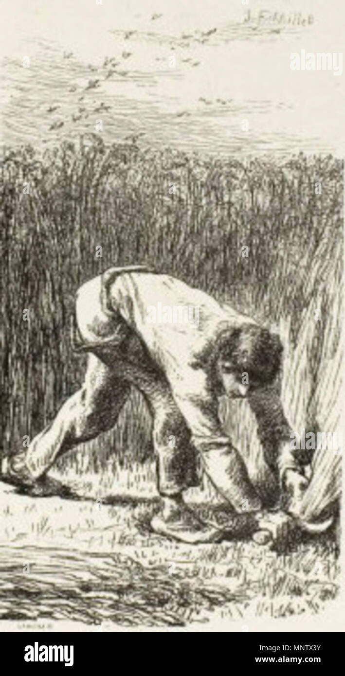 Reaper 1853 (after Millet's drawing made in 1852). 787 Labours of the ...