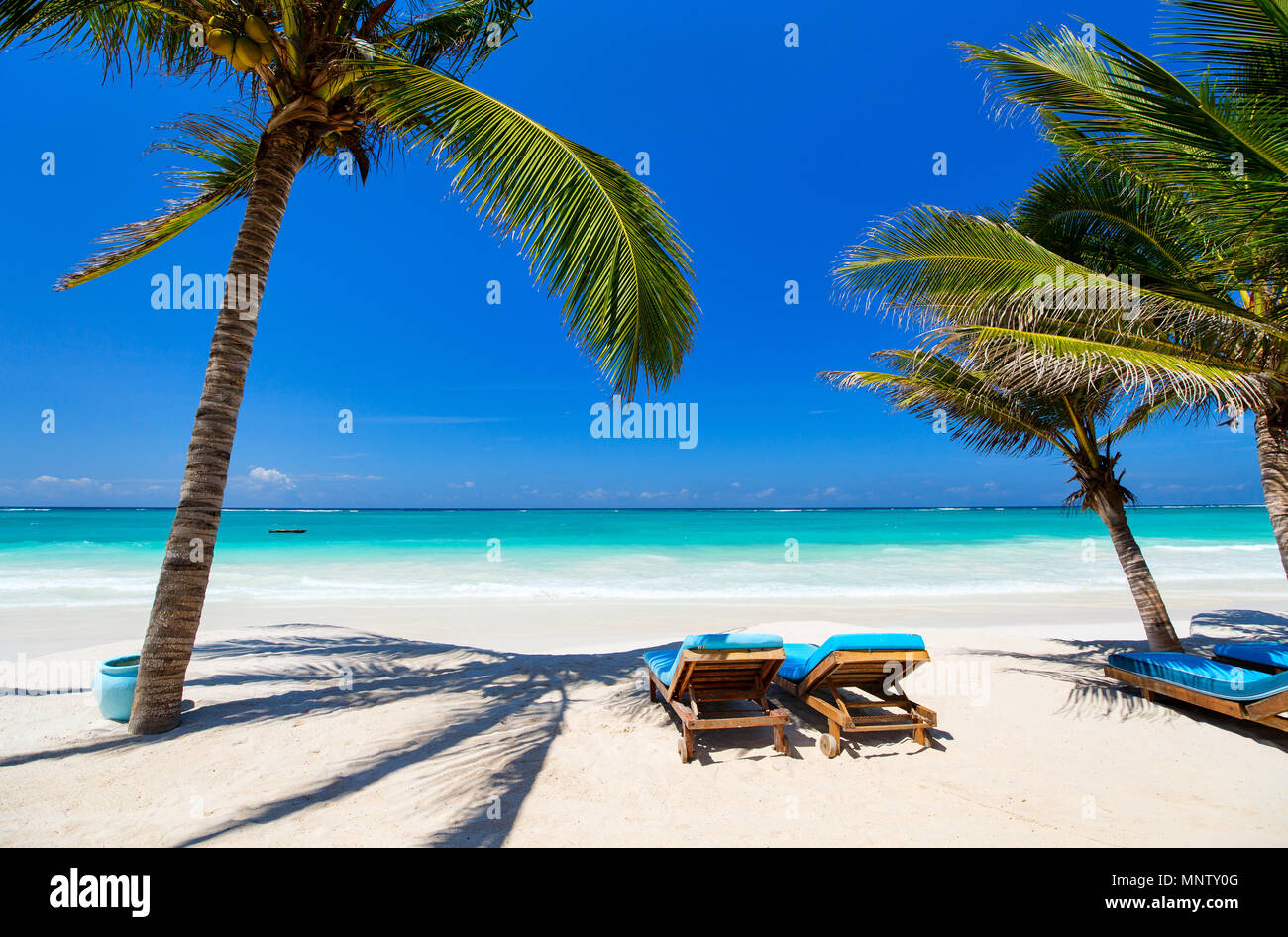 Beach beds among palm trees at perfect tropical coast Stock Photo - Alamy