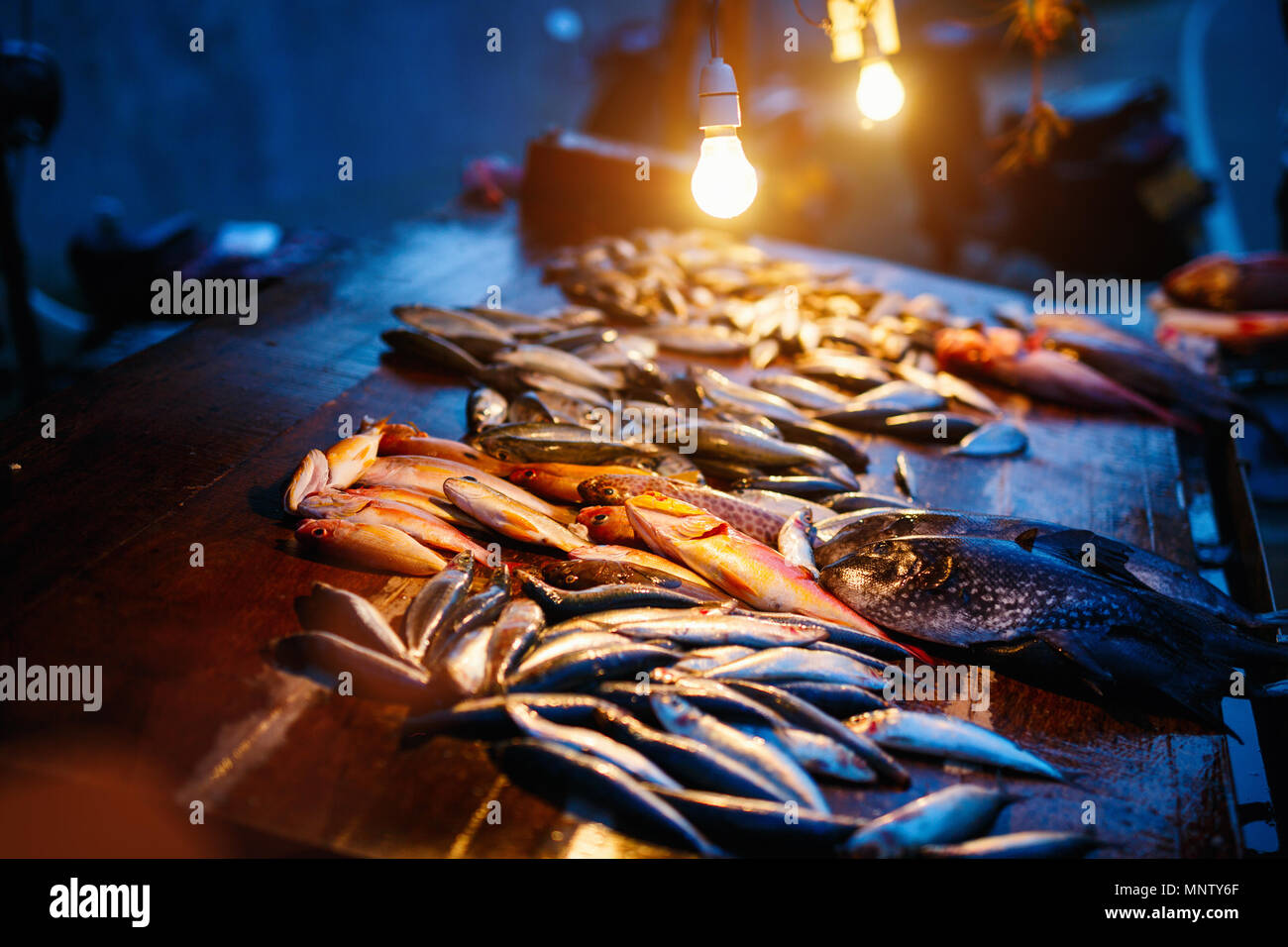 Fish night hi-res stock photography and images - Alamy