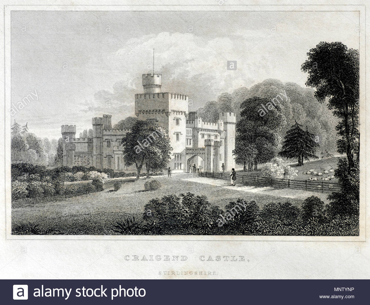 Craigend Stock Photos & Craigend Stock Images - Alamy