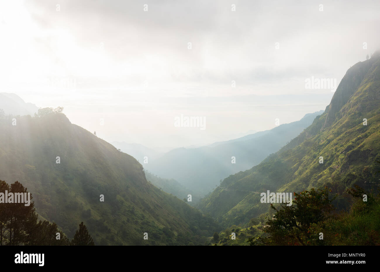 Breathtaking views over mountains and tea plantations from Little Adams ...