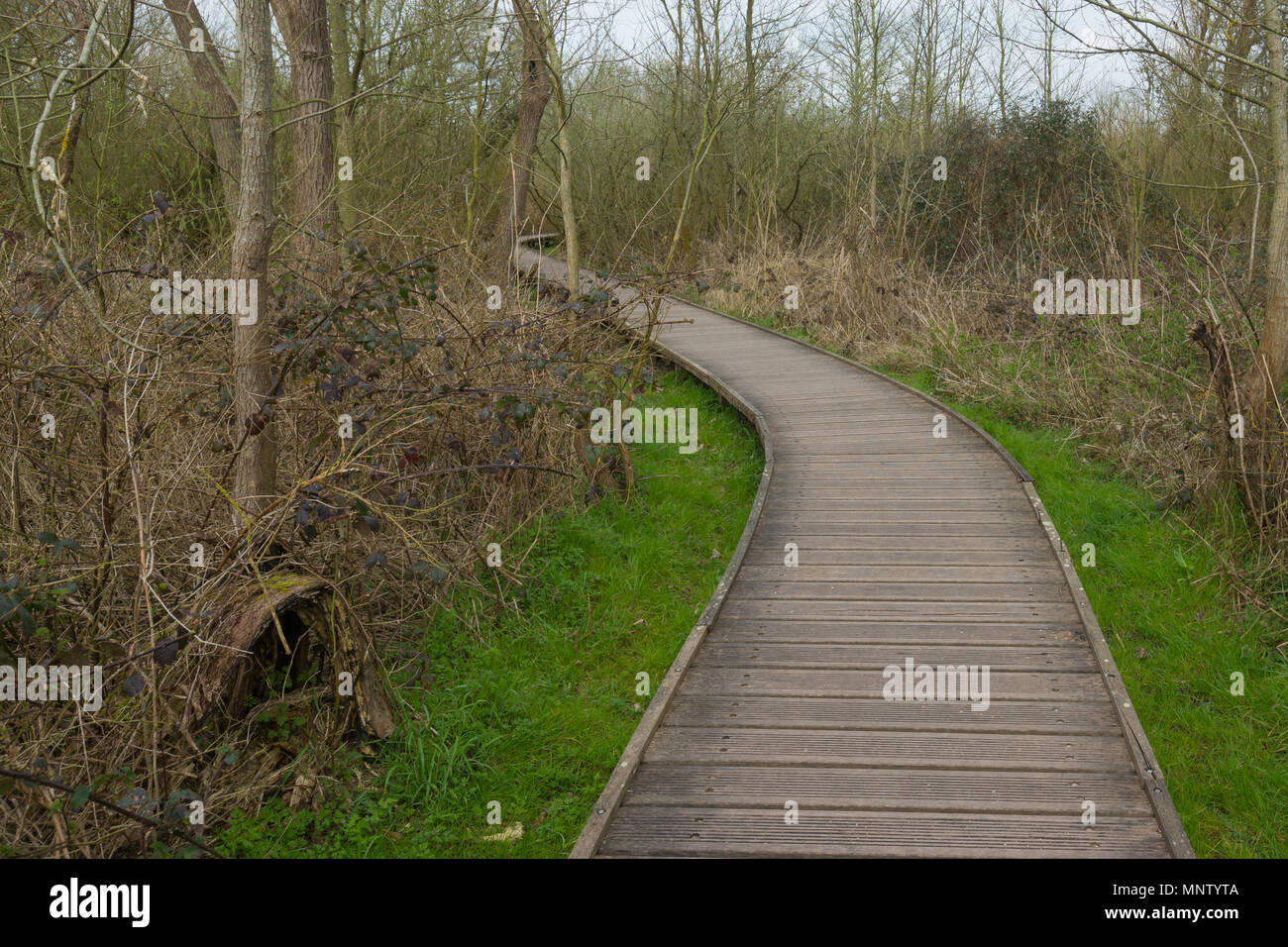 Curved trees path walkway in hi-res stock photography and images - Alamy
