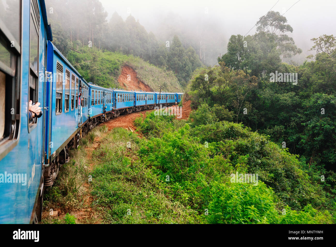 Train ride from Ella to Kandy among tea plantations in the highlands of ...