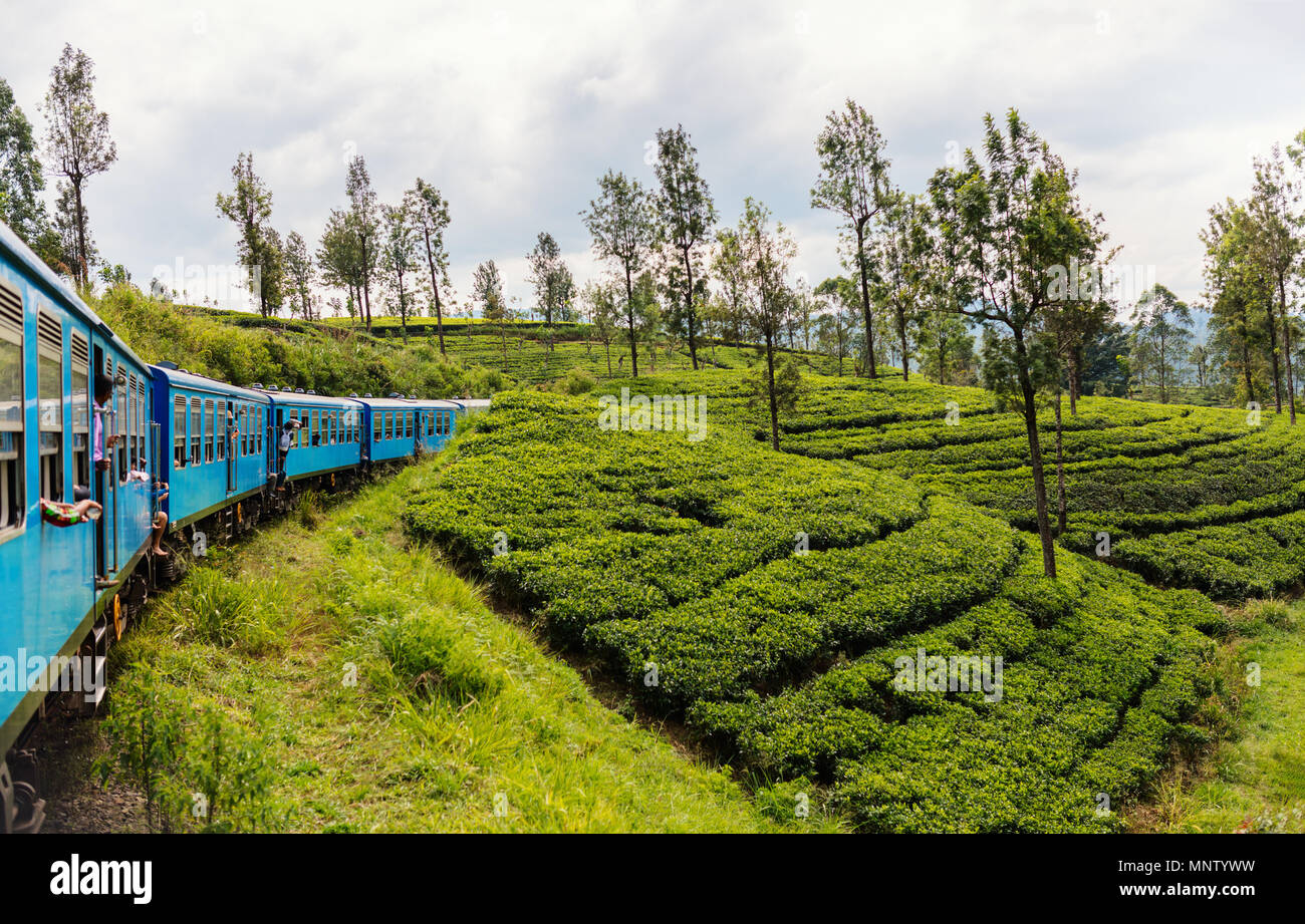 Sri lanka train hi-res stock photography and images - Alamy