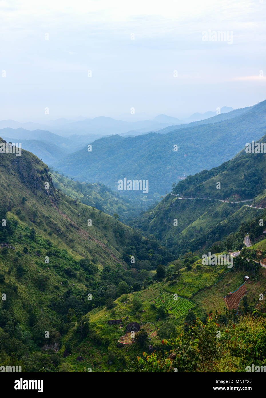 Breathtaking views over mountains and tea plantations from Little Adams ...