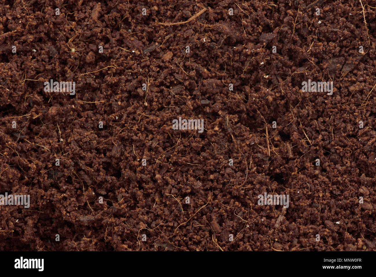 Coir hi-res stock photography and images - Alamy
