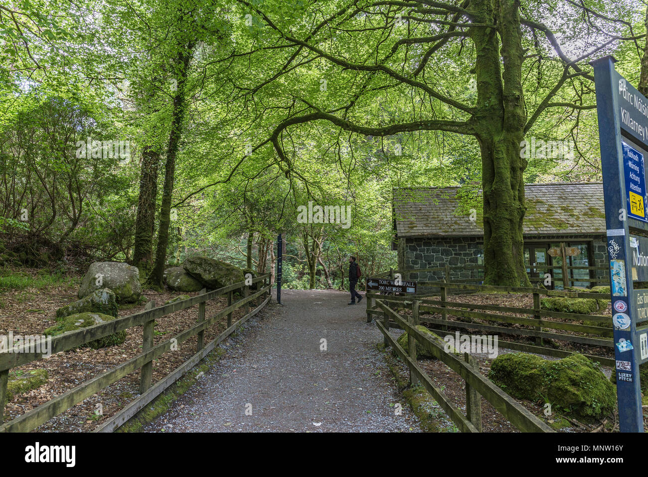 Ireland Killarny National Park Torc Waterfall Stock Photo - Alamy