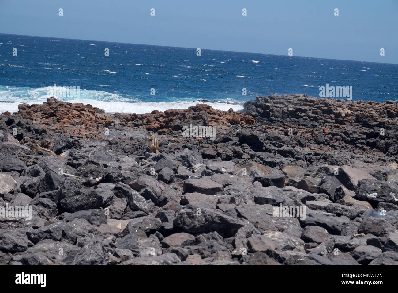 Castillo caleta de fuste hi-res stock photography and images - Alamy