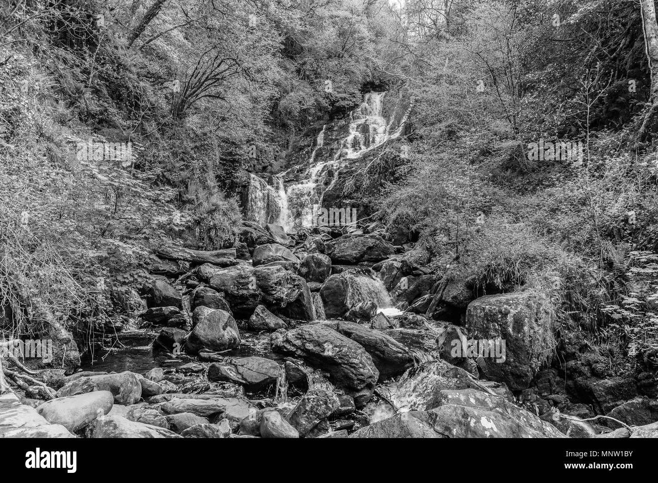 Ireland Killarny National Park Torc Waterfall Stock Photo - Alamy
