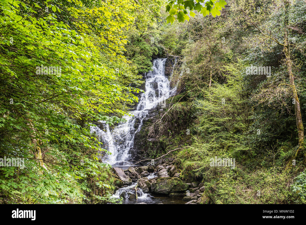 Ireland Killarny National Park Torc Waterfall Stock Photo - Alamy