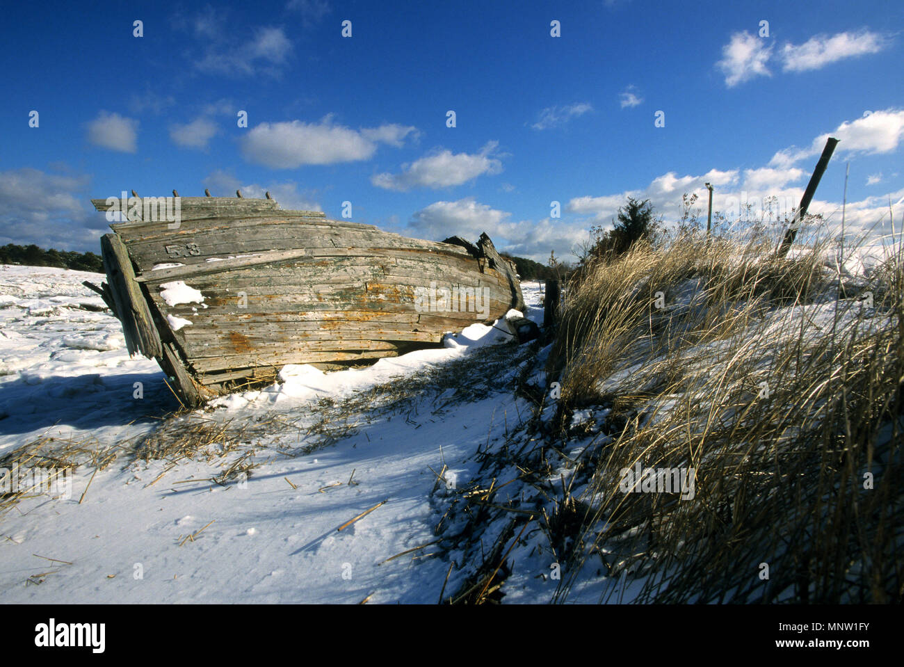 An abandoned boat in a snow covered Wellfleet marsh on Cape Cod, USA ...