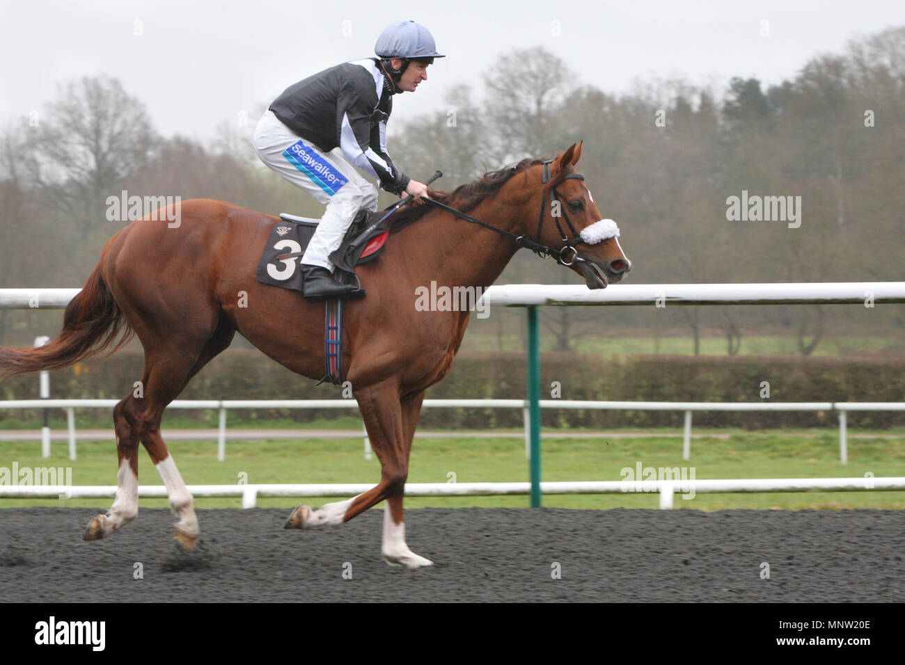 Jockey Steve Drowne riding Lingfield Bound in the Nicholas Hall ...