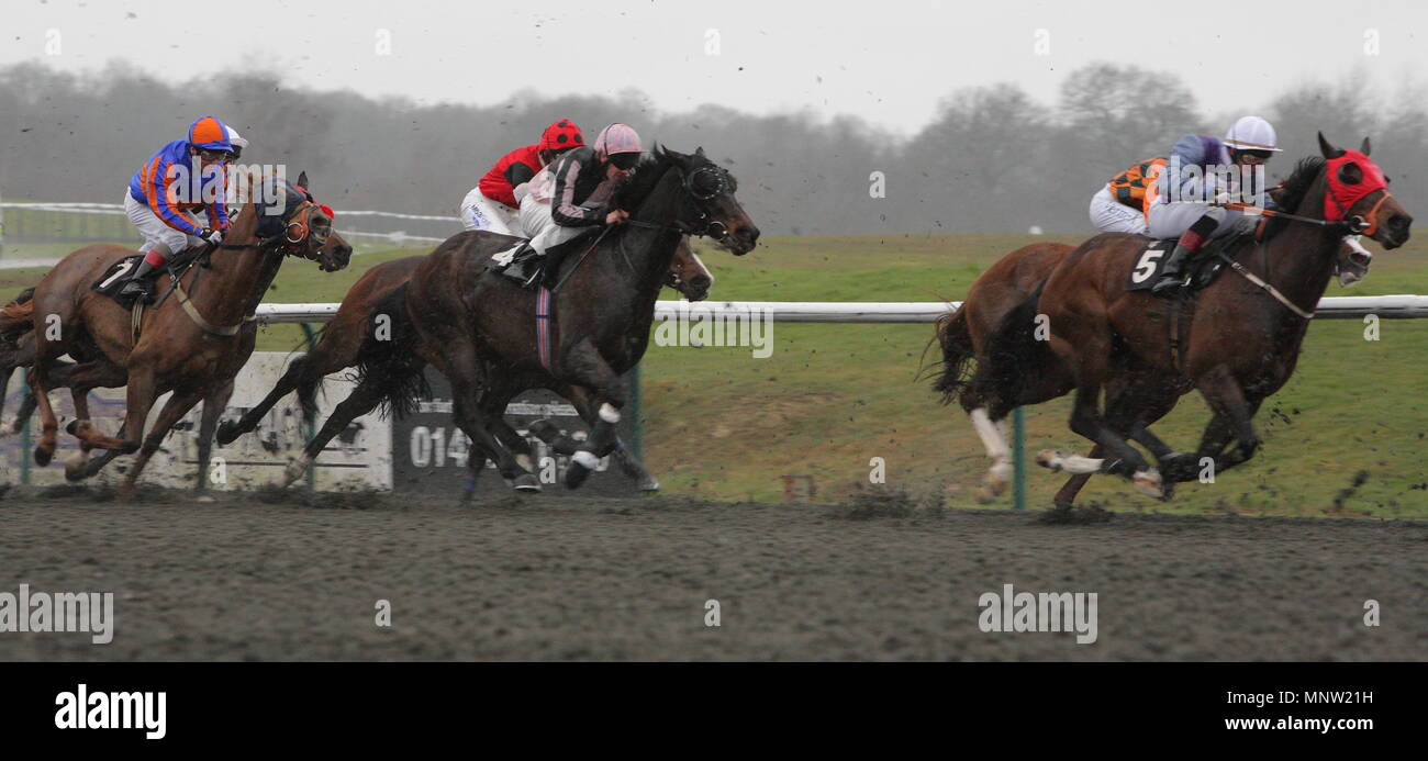 Lingfield park race track hi-res stock photography and images - Alamy
