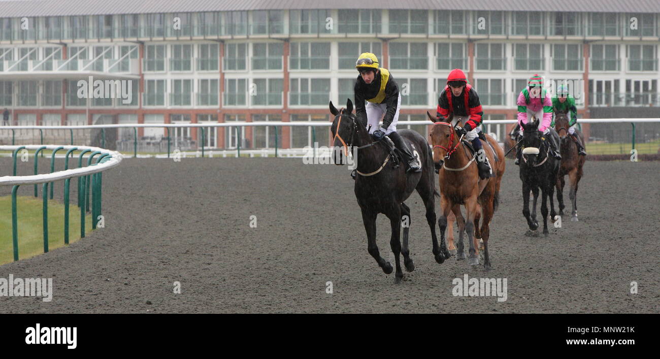 Lingfield park all weather hi-res stock photography and images - Alamy
