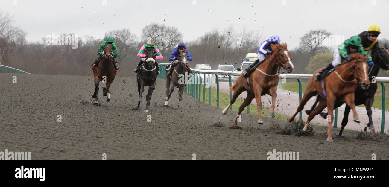 Lingfield park all weather hi-res stock photography and images - Alamy