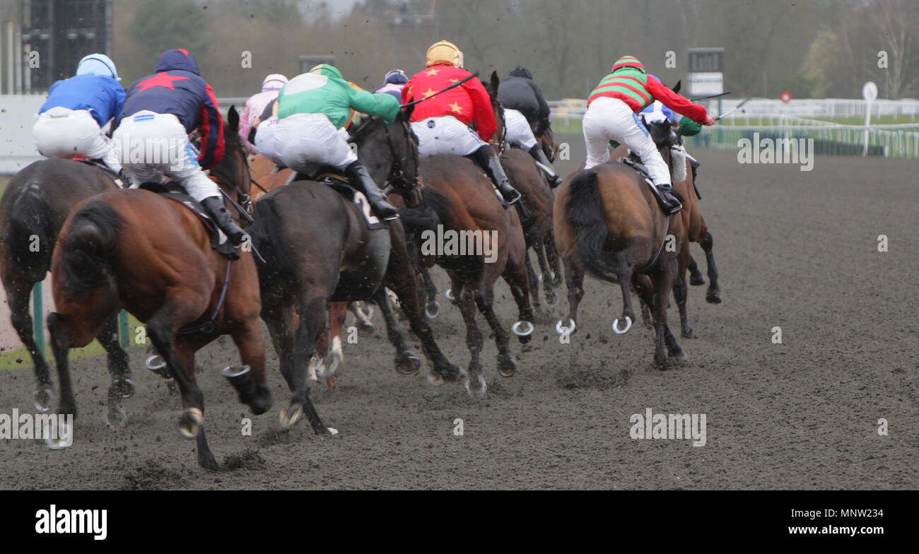 Lingfield park all weather hi-res stock photography and images - Alamy