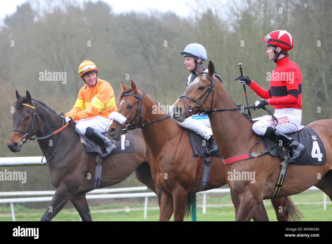 Robert Havlin High Resolution Stock Photography and Images - Alamy