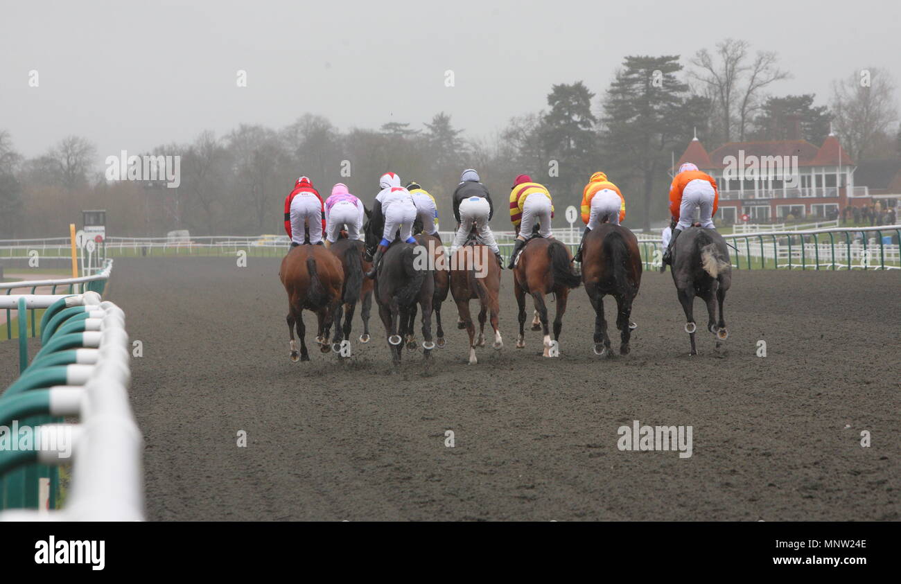 Lingfield park all weather hi-res stock photography and images - Alamy