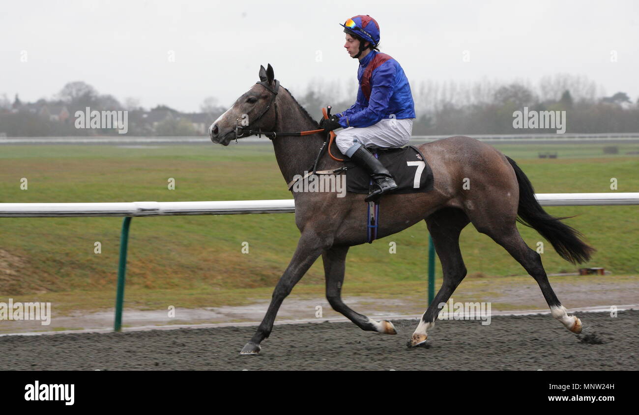 Jockey James Millman riding Night Angel in the Premier Showfreight ...