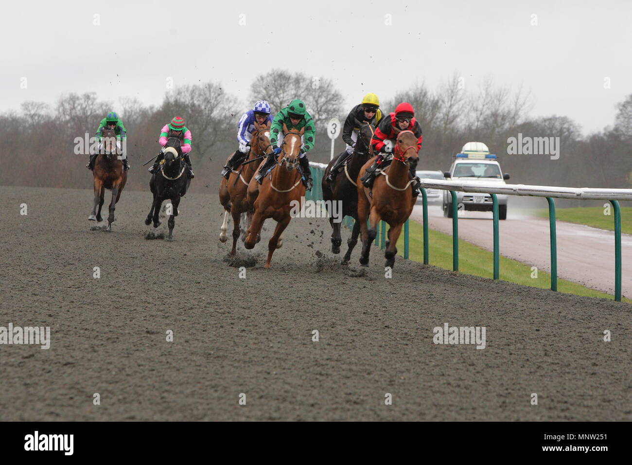 Lingfield park all weather hi-res stock photography and images - Alamy