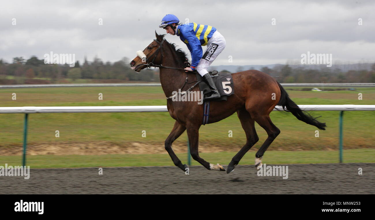 Miss m park miss m park hi-res stock photography and images - Alamy