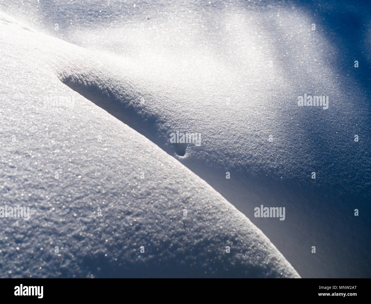 Snowdrift in the sunshine: A deep powdery snow drift makes a smooth ...