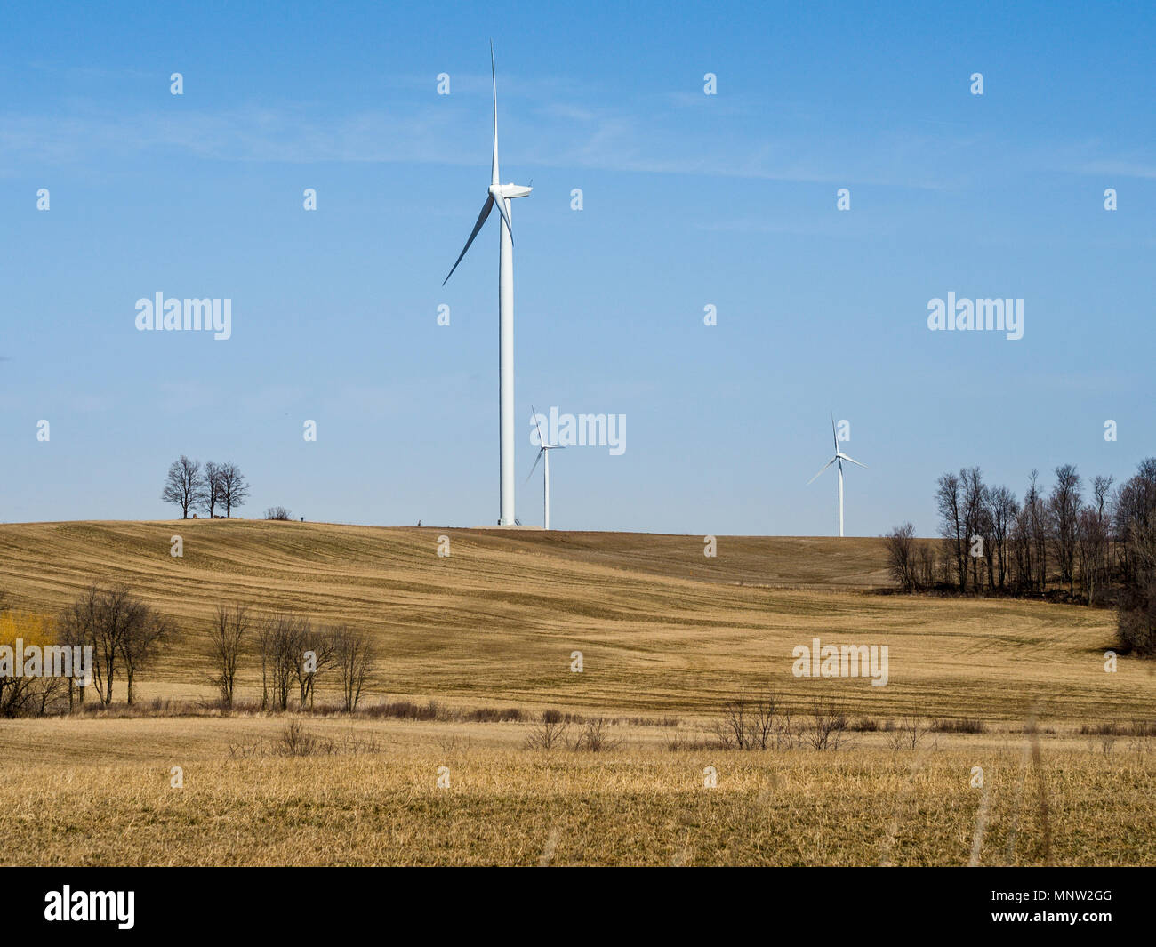 Three wind turbines on a hillside: Three large wind generators share ...