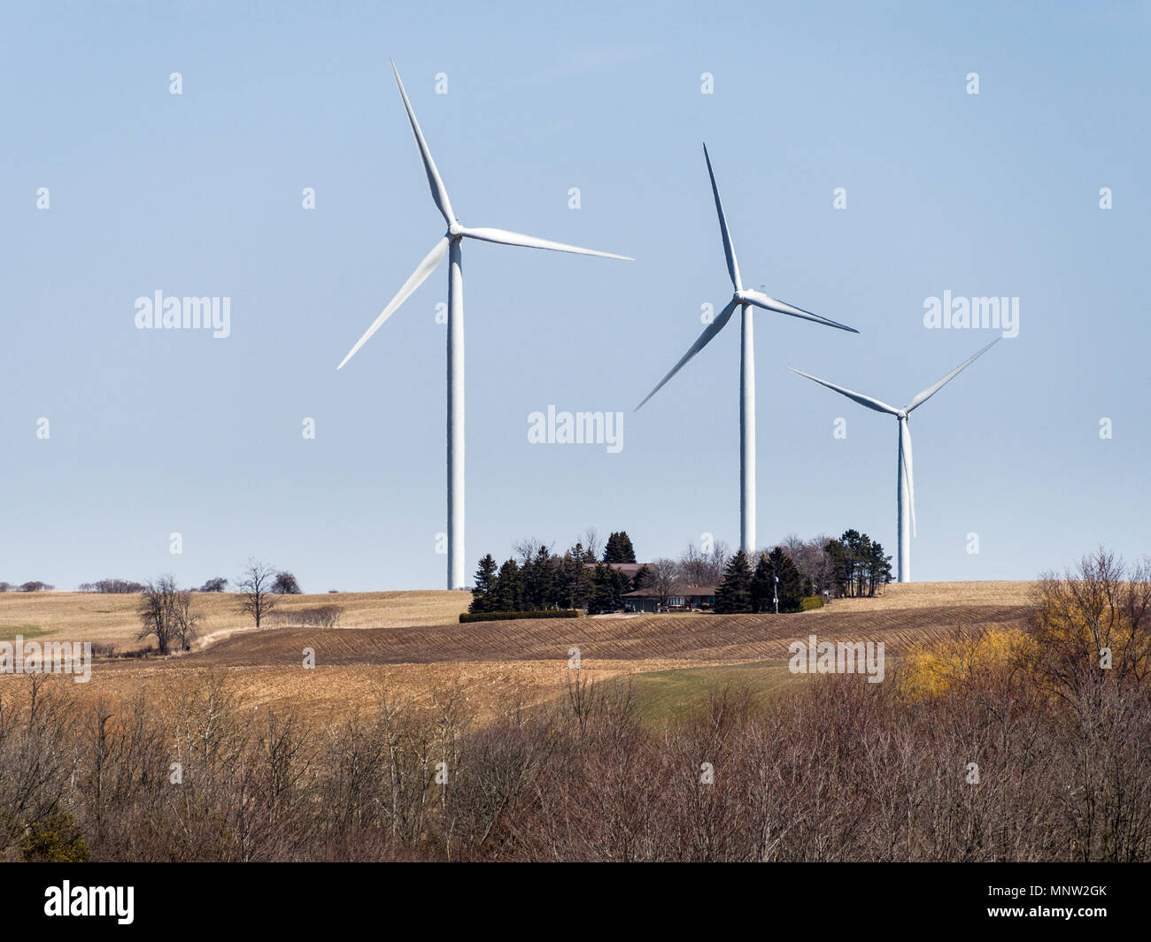 Surrounded: A farm dominated by huge white wind turbines.: A rural farm ...