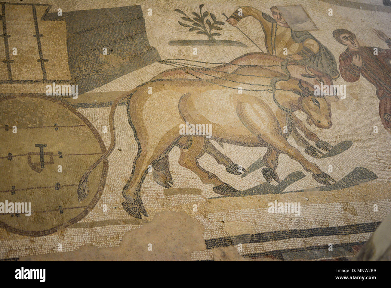 mosaic floor of a Roman villa Stock Photo - Alamy